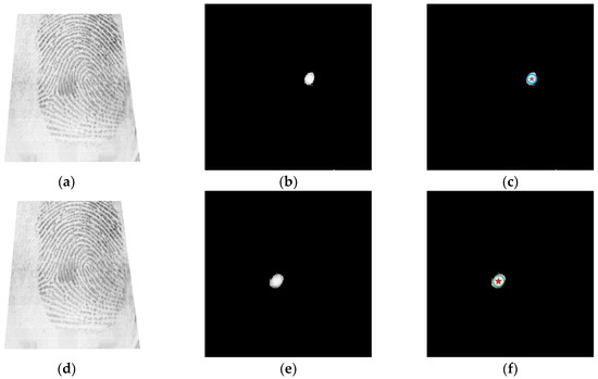 A Customized Semantic Segmentation Network for the Fingerprint Singular Point Detection