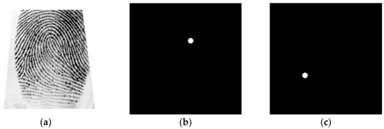 A Customized Semantic Segmentation Network for the Fingerprint Singular Point Detection