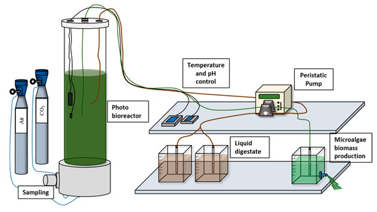 Production of Microalgal Slow-Release Fertilizer by Valorizing Liquid ...