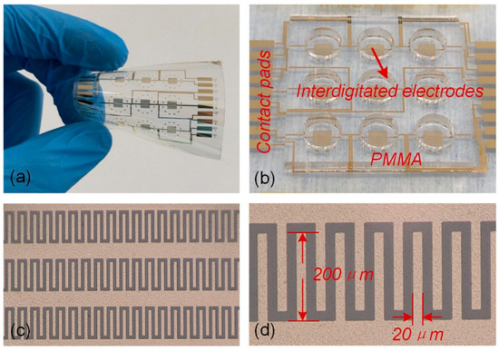 An Impedance Sensor in Detection of Immunoglobulin G with ...