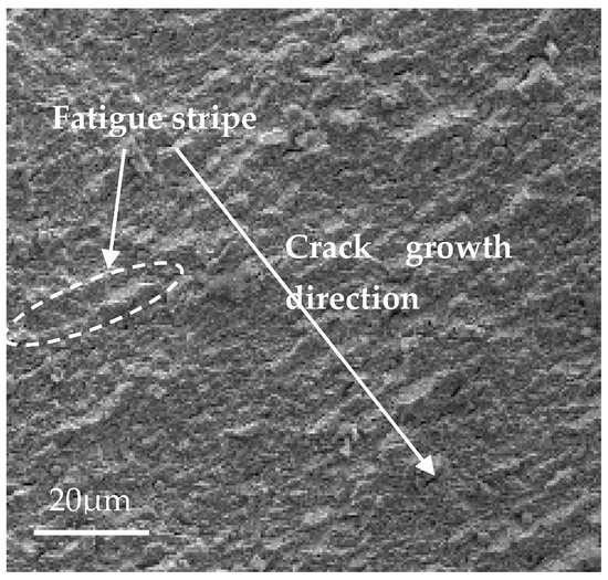 Experimental Study on Fatigue Crack Propagation of High-Strength Steel ...