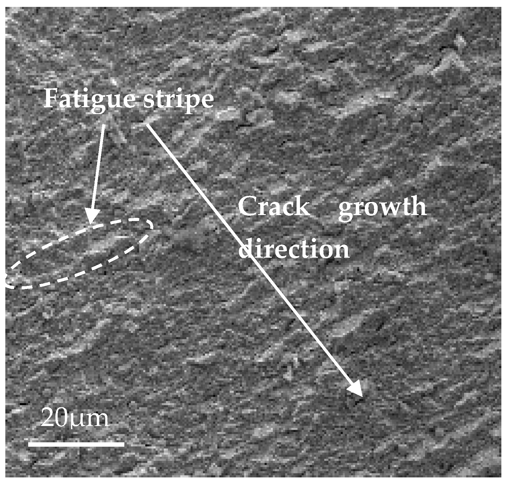 Experimental Study on Fatigue Crack Propagation of High-Strength Steel ...