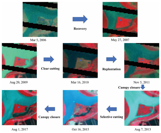 Monitoring the Vegetation Dynamics in the Dongting Lake Wetland from 2000 to 2019 Using the ...