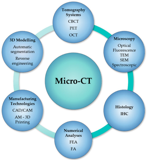 Ten Years of Micro-CT in Dentistry and Maxillofacial Surgery: A ...