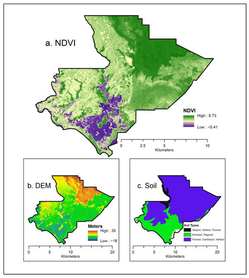 Applied Sciences | Free Full-Text | A Tale of Grass and Trees ...