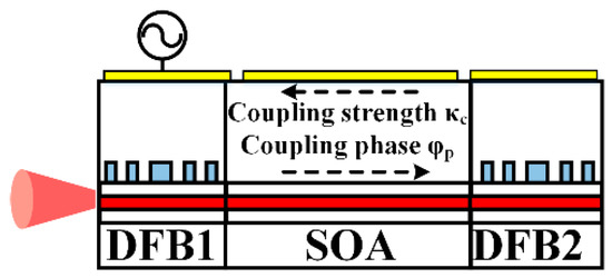 Modulation Bandwidth Enhancement of Monolithically Integrated Mutually Coupled Distributed ...