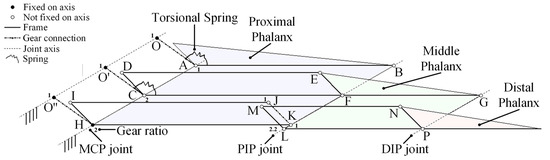 Development of an Anthropomorphic Prosthetic Hand with Underactuated ...