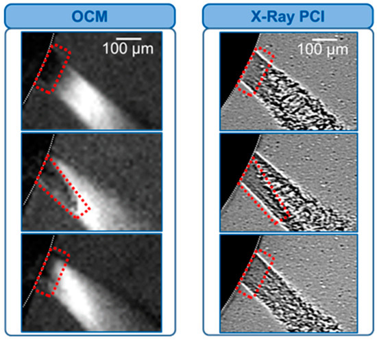 Approaches for Detailed Investigations on Transient Flow and Spray ...