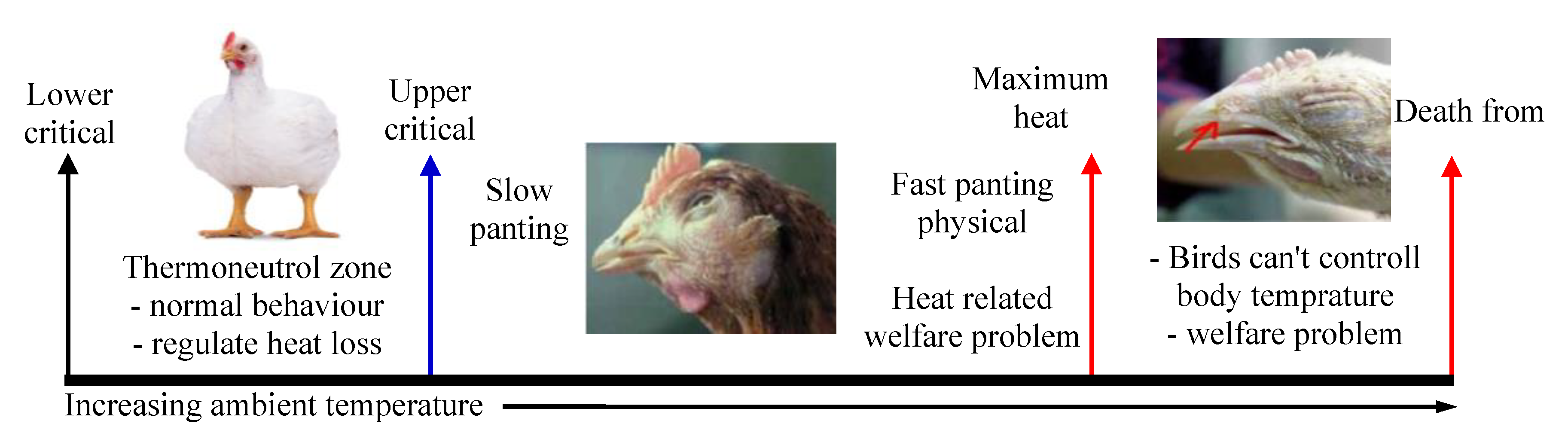 Investigating Applicability of Evaporative Cooling Systems for Thermal ...