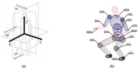 A Three-Dimensional Parametric Biomechanical Rider Model for Multibody ...