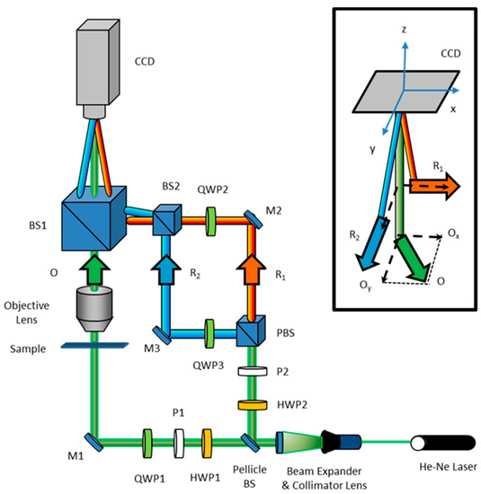 Applied Sciences | Free Full-Text | Polarization-Sensitive Digital ...