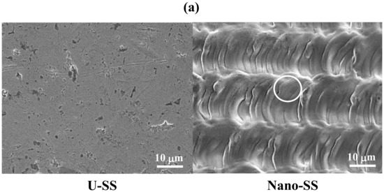 The Potential of Nano-Porous Surface Structure for Pain Therapeutic ...