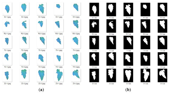 Application of Hyperspectral Imaging for Assessment of Tomato Leaf ...