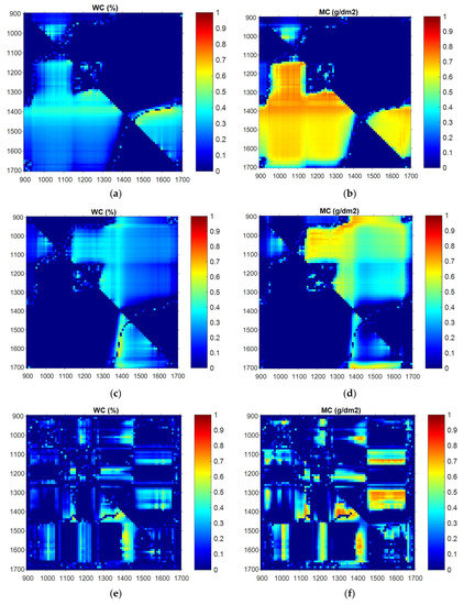 Application of Hyperspectral Imaging for Assessment of Tomato Leaf Water Status in Plant Factories