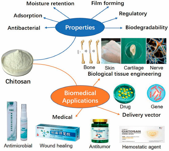 Recent Advancement of Molecular Structure and Biomaterial Function of ...