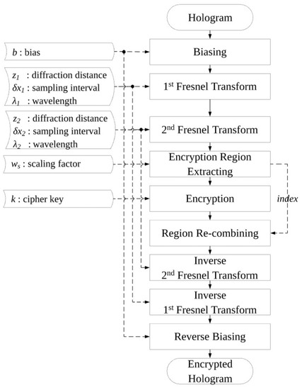 A Content Hiding Method for Digital Hologram Using Multiple Fresnel Diffraction