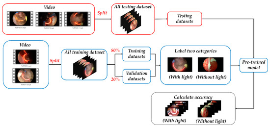 Applied Sciences | Special Issue : Computer-aided Biomedical Imaging ...