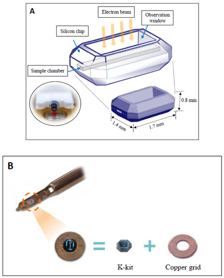 A Novel Microchip Technique for Quickly Identifying Nanogranules in an ...