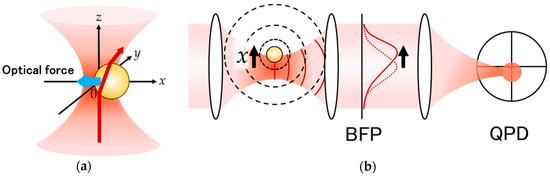 Optimization of Optical Trapping and Laser Interferometry in Biological ...