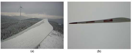 Influence of Ice Accumulation on the Structural Dynamic Behaviour of ...