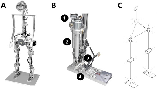 A Challenge: Support of Standing Balance in Assistive Robotic Devices