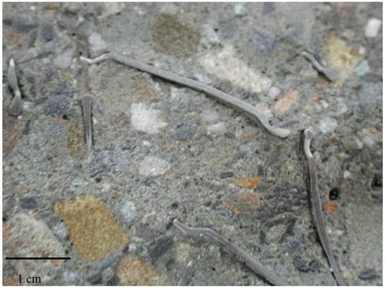 Abrasion Behavior of Steel-Fiber-Reinforced Concrete in Hydraulic ...