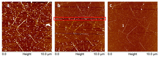 The Attachment of Carbon Nanotubes to Atomic Force Microscopy Tips ...