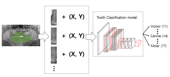 Applied Sciences | Free Full-Text | Automatic Tooth Detection and ...
