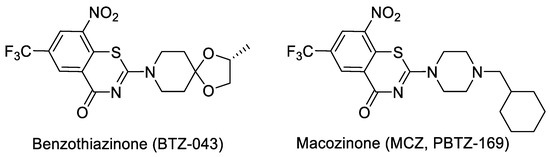 Two Decades of TB Drug Discovery Efforts—What Have We Learned?