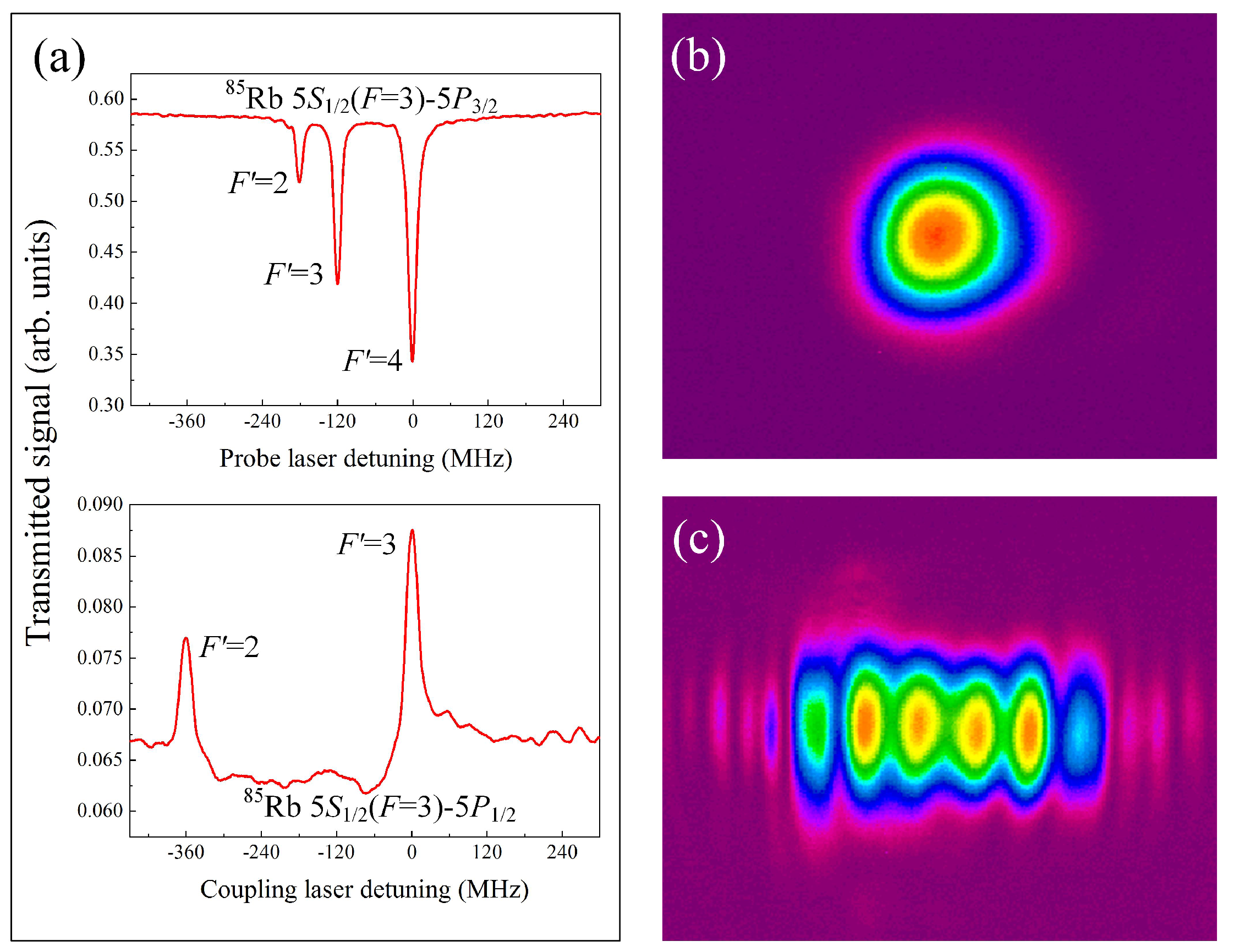 Observation of an Electromagnetically Induced Grating in Cold 85Rb Atoms