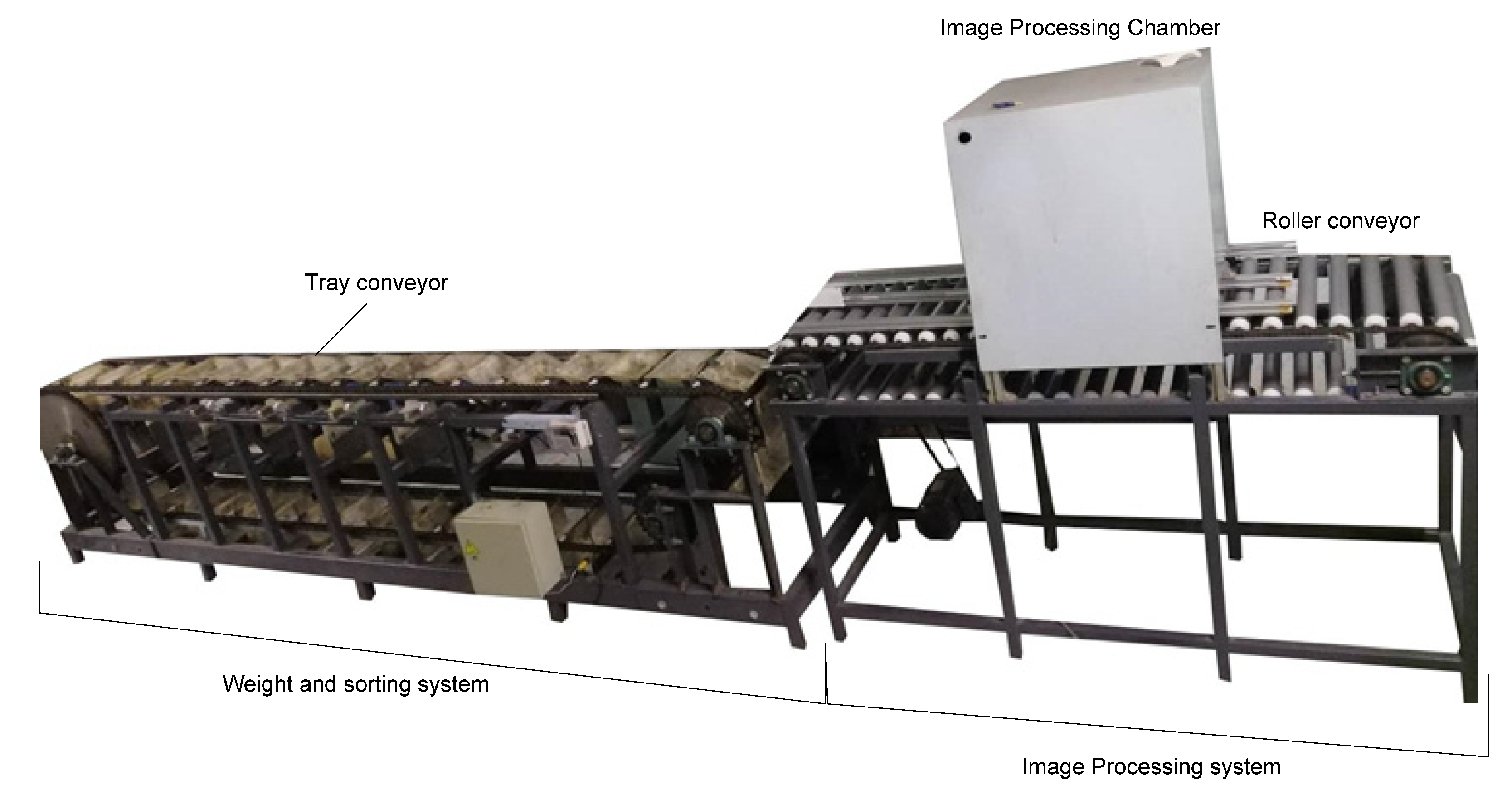 Applied Sciences | Free Full-Text | Using Machine Learning to Grade the Mango’s Quality Based on ...