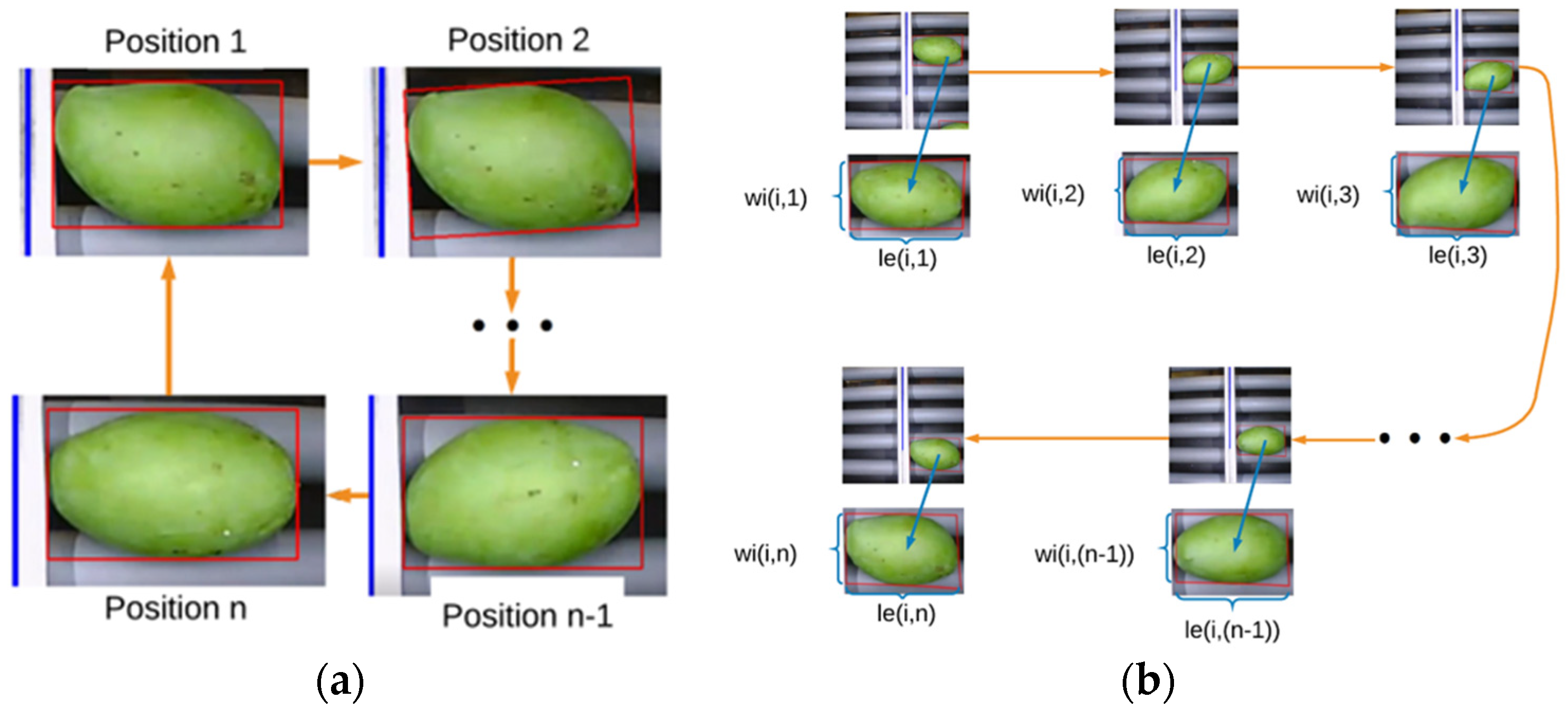 Applied Sciences | Free Full-Text | Using Machine Learning to Grade the ...