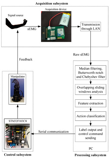 Surface Electromyography-Based Action Recognition and Manipulator Control