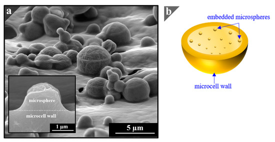 Partially-Perforated Self-Reinforced Polyurea Foams