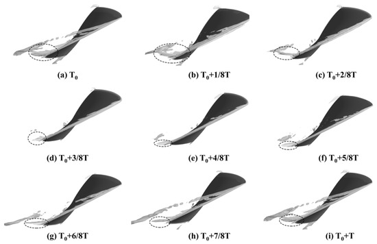 Dynamic Analysis of Cavitation Tip Vortex of Pump-Jet Propeller Based ...