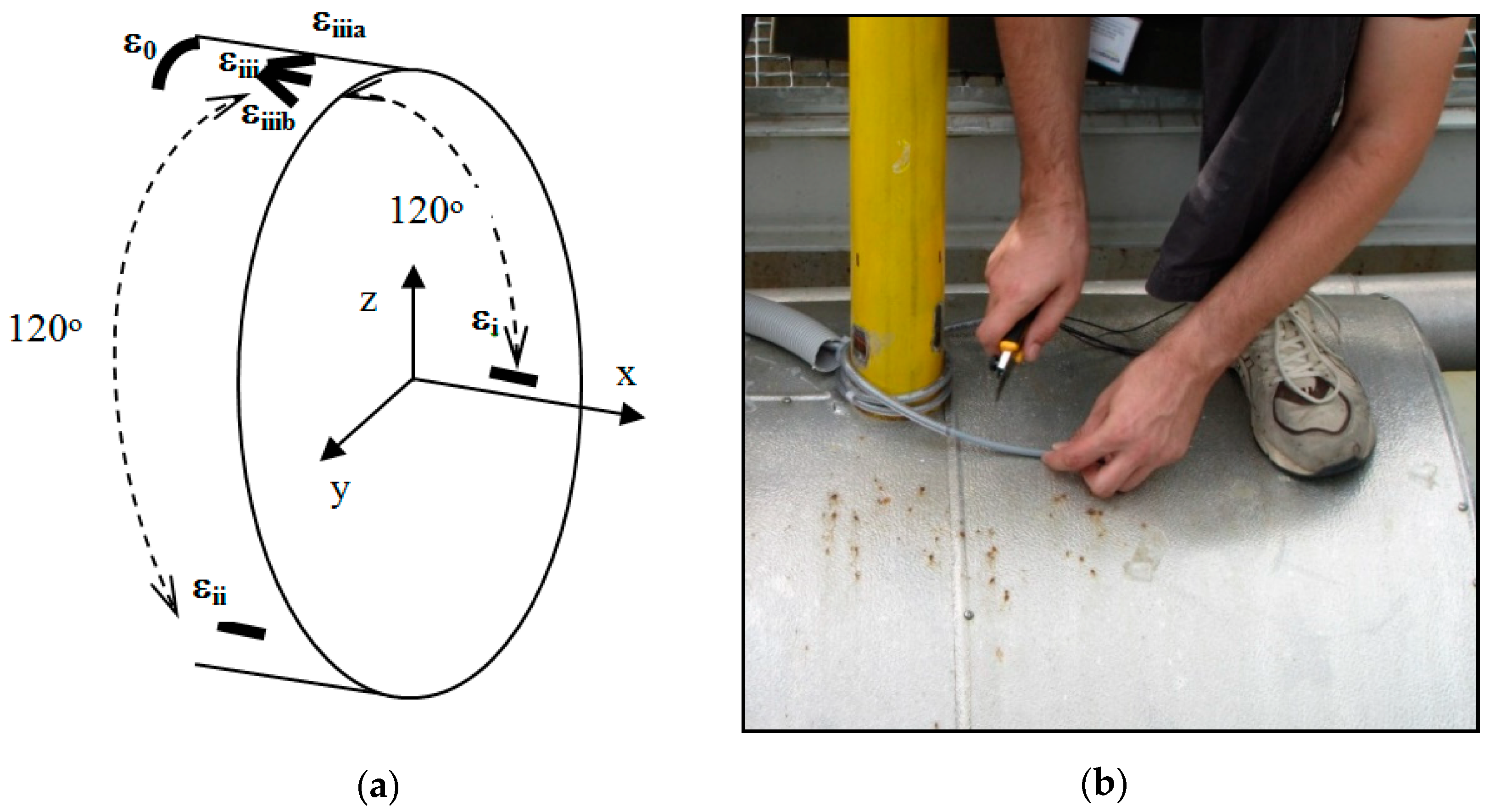 Health and Structural Integrity of Monitoring Systems: The Case Study ...