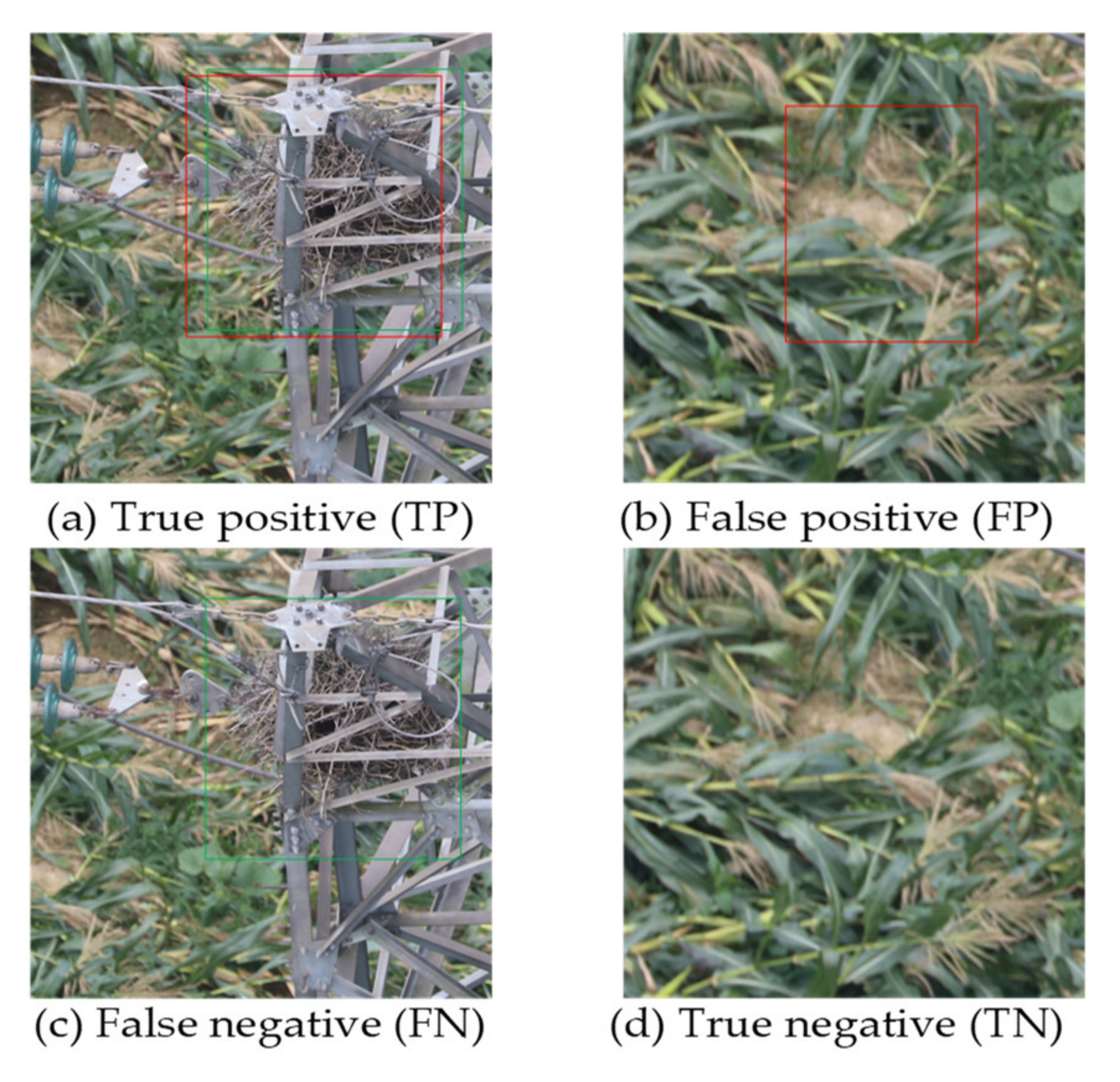 Deep Learning-Based Bird’s Nest Detection on Transmission Lines Using ...