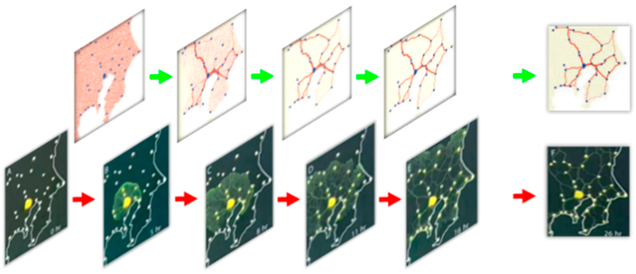 Applied Sciences Free Full Text A Two Way Parallel Slime Mold Algorithm By Flow And Distance
