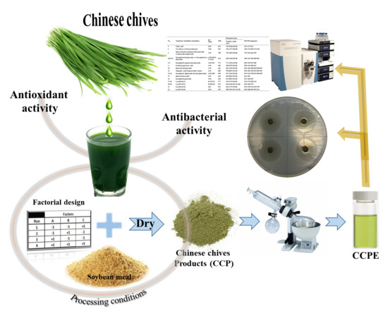 Applied Sciences | Free Full-Text | Optimization of Chinese Chive Juice as a Functional Feed ...