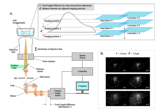 Applied Sciences | Free Full-Text | Extended Dual-Focus Microscopy for ...