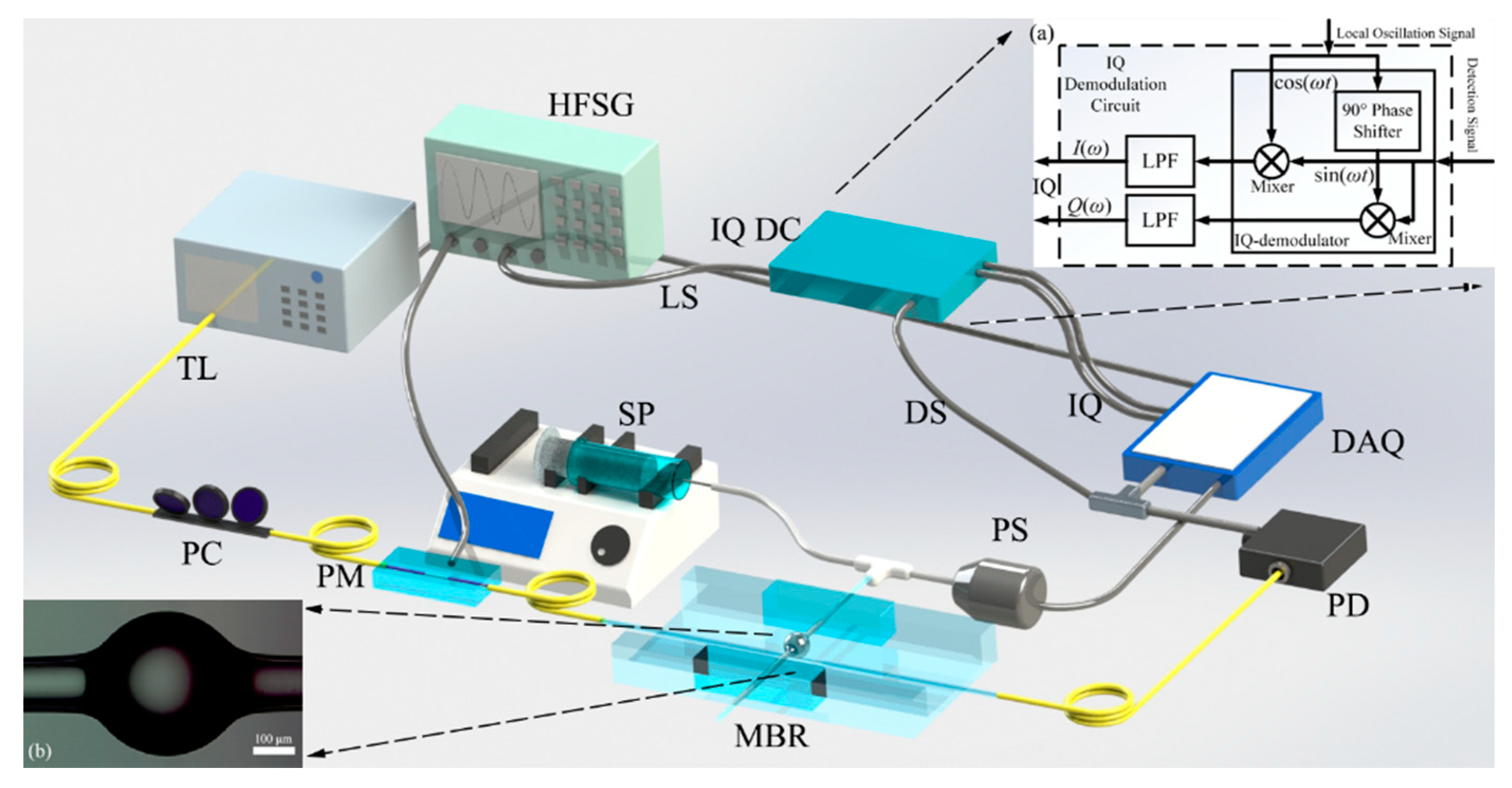 Applied Sciences | Free Full-Text | Highly Sensitive Complicated ...