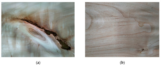 Impact of Structural Defects on the Surface Quality of Hardwood Species ...