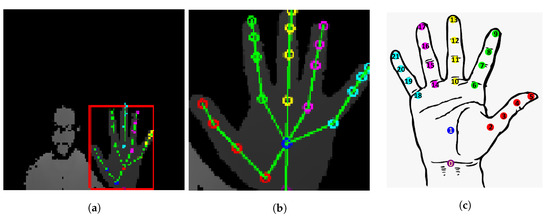Robust Hand Shape Features for Dynamic Hand Gesture Recognition Using ...
