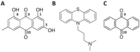 Preventing the Interaction between Coronaviruses Spike Protein and ...