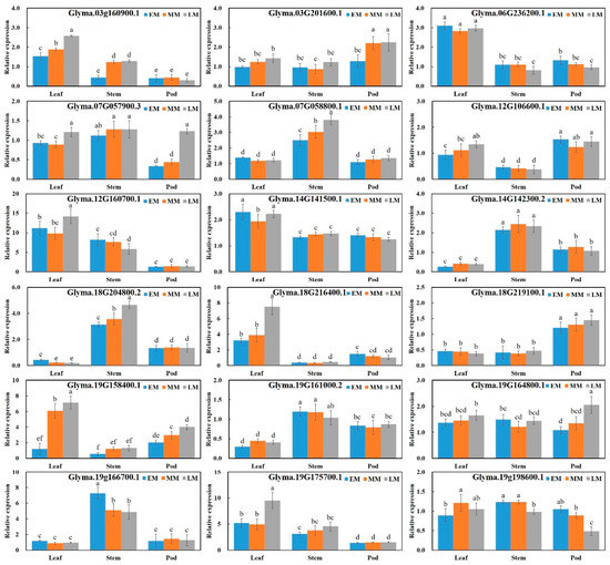 Development of High-Resolution Simple Sequence Repeat Markers through Expression Profiling of ...