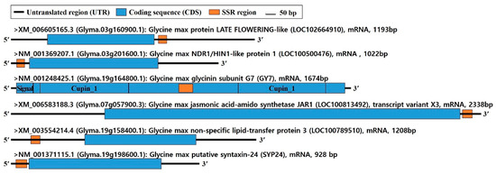Development of High-Resolution Simple Sequence Repeat Markers through Expression Profiling of ...
