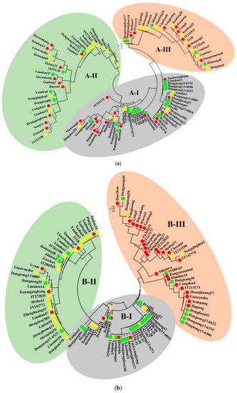 Development of High-Resolution Simple Sequence Repeat Markers through Expression Profiling of ...