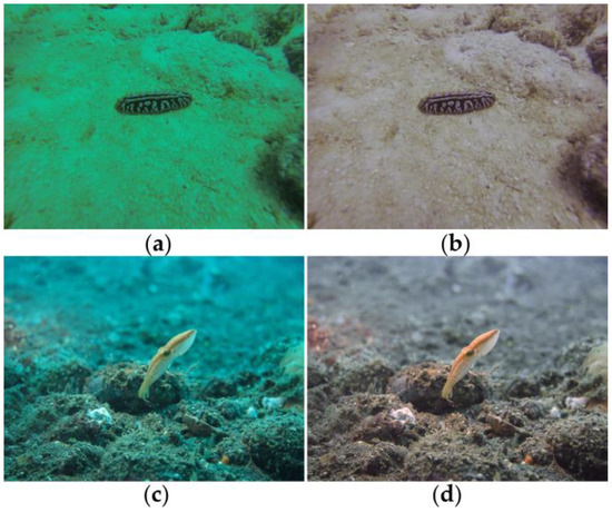 Applied Sciences | Free Full-Text | Robust Chromatic Adaptation Based ...