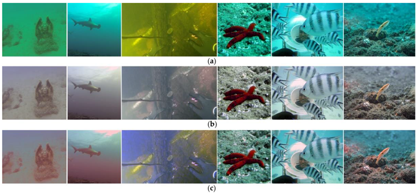 Applied Sciences | Free Full-Text | Robust Chromatic Adaptation Based ...