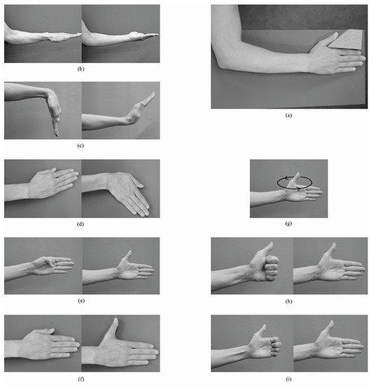 Development and Application of a Motion Analysis Protocol for the Kinematic Evaluation of Basic ...